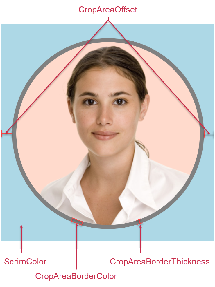 ImageEdit Class | .NET Multi-platform App UI | DevExpress Documentation