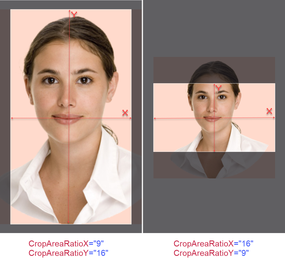 DevExpress Image & Image Editor for .NET MAUI | .NET Multi-platform App ...