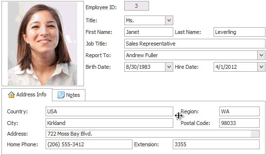 Form Layout Managers Winforms Controls Devexpress Documentation