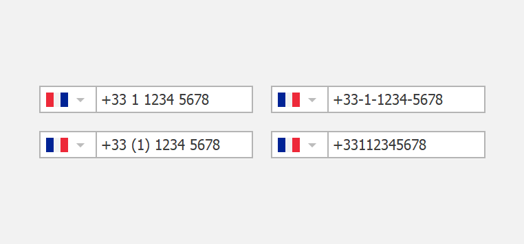 Phone Number Editor | WinForms Controls | DevExpress Documentation